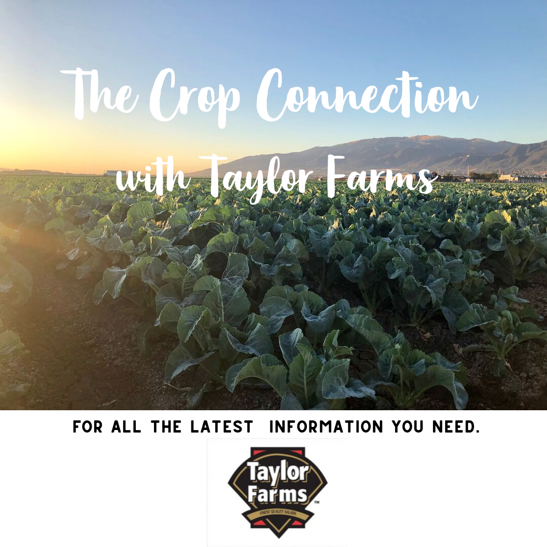The Crop Connection with Taylor Farms: Kicking off the New Year with ...